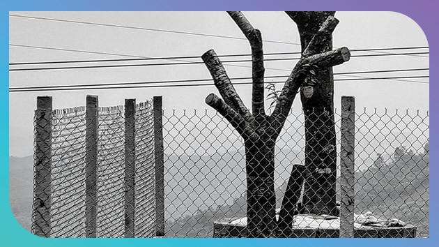 Just Picture It! | British Council